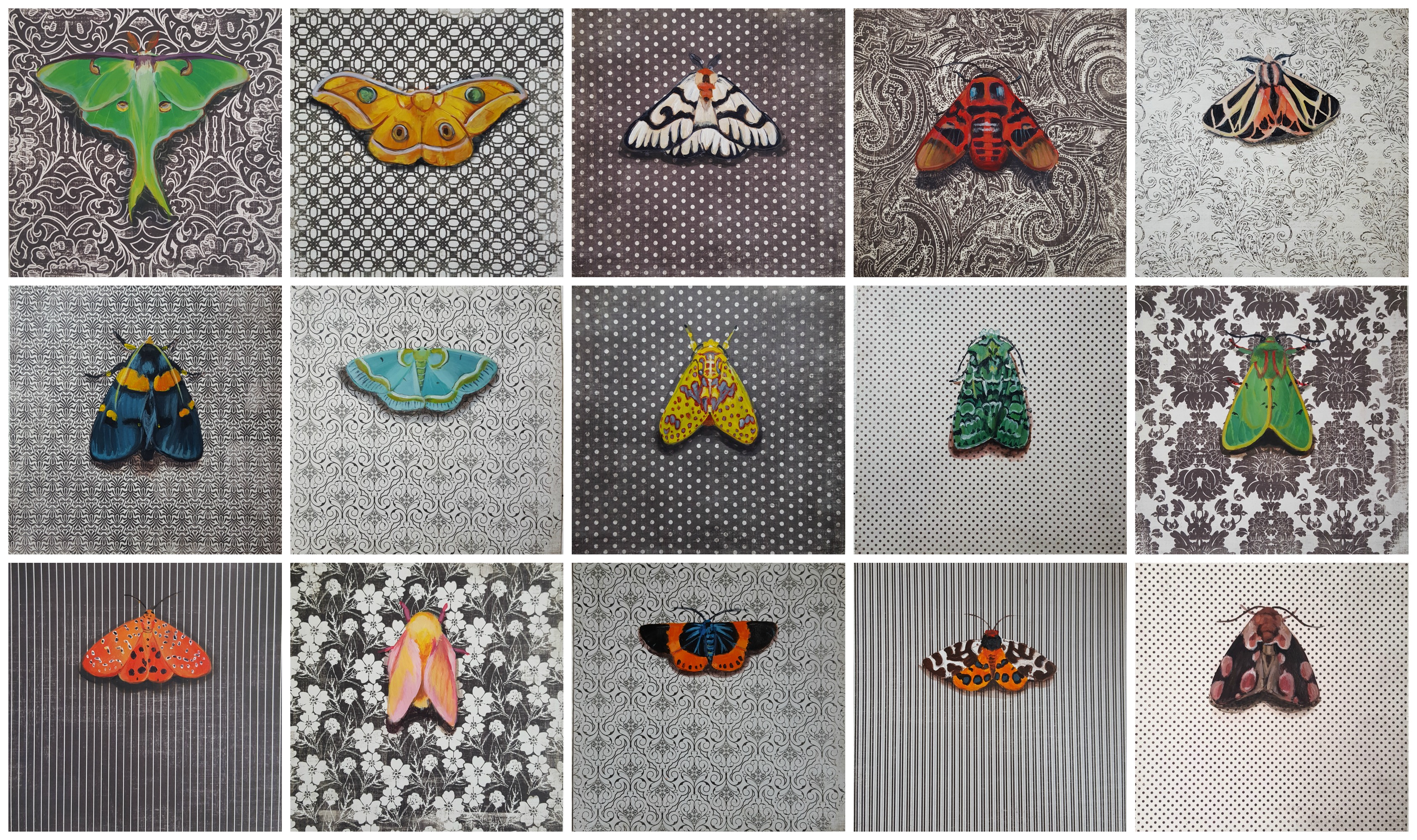 9/15 – 15 Moths Collage – Dana Aldis Studio